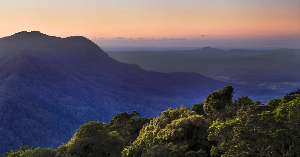 Myths and Facts — The Great Koala National Park
