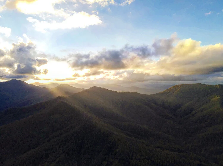 About — The Great Koala National Park
