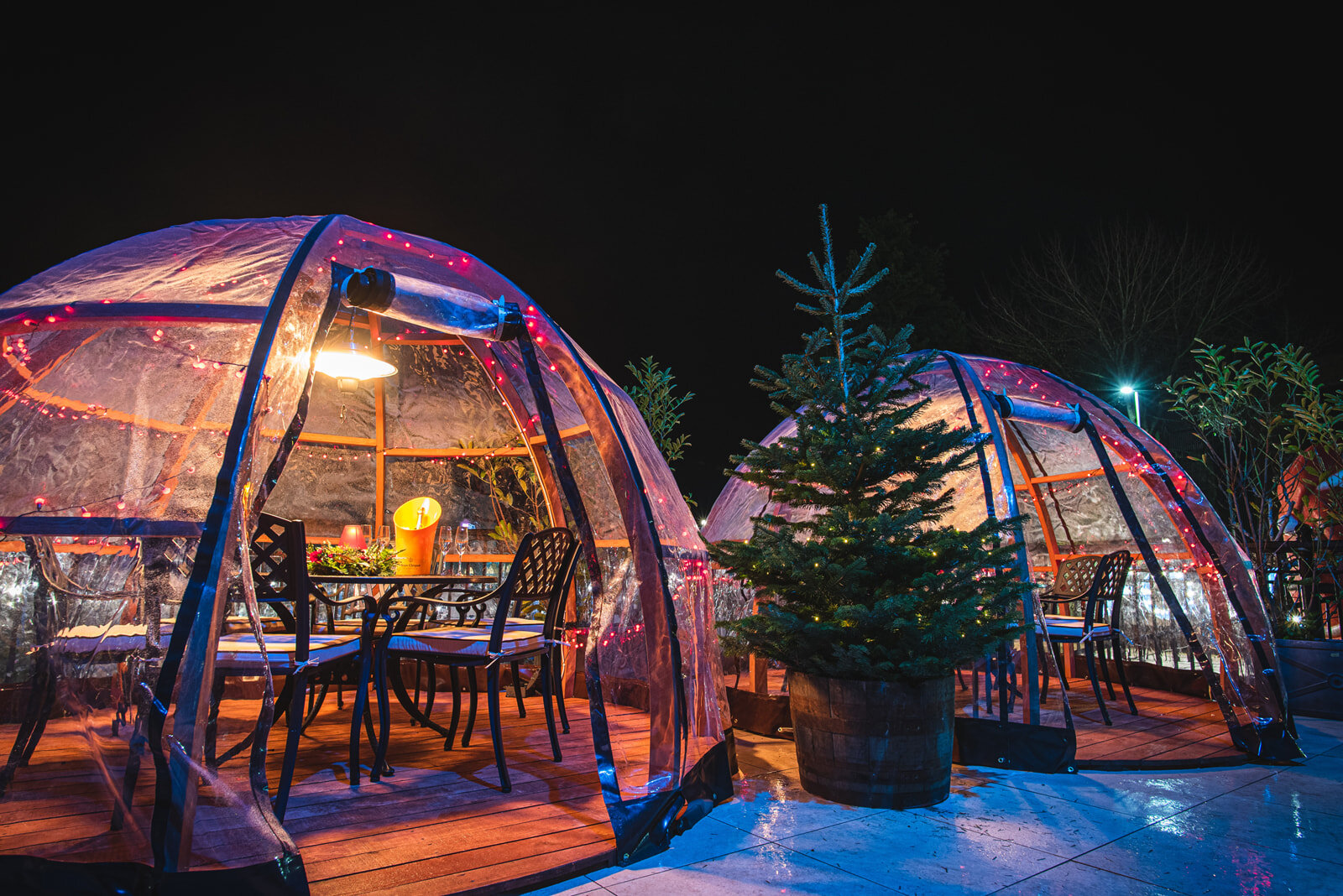 Join us for Chritstmas at 1812 — 1812