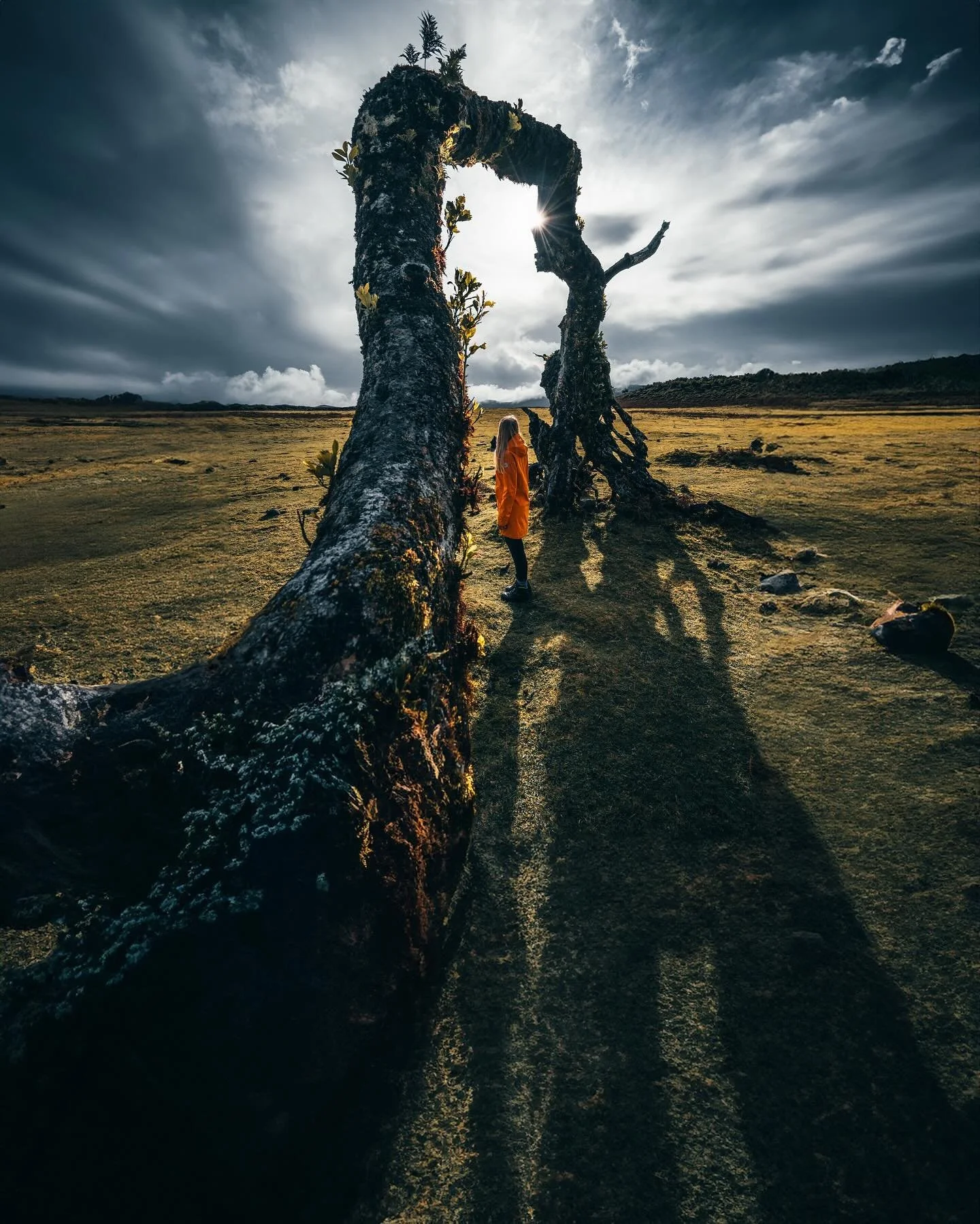 Mediakit - Portfolio, Rates, Insights — Creative Landscape and Travel ...