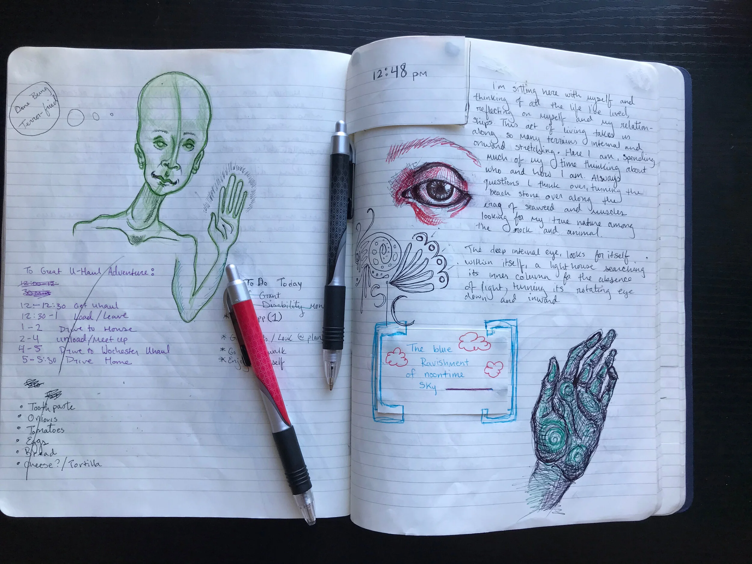 The Poetry Closet: Zia Pollis — NAILED Magazine