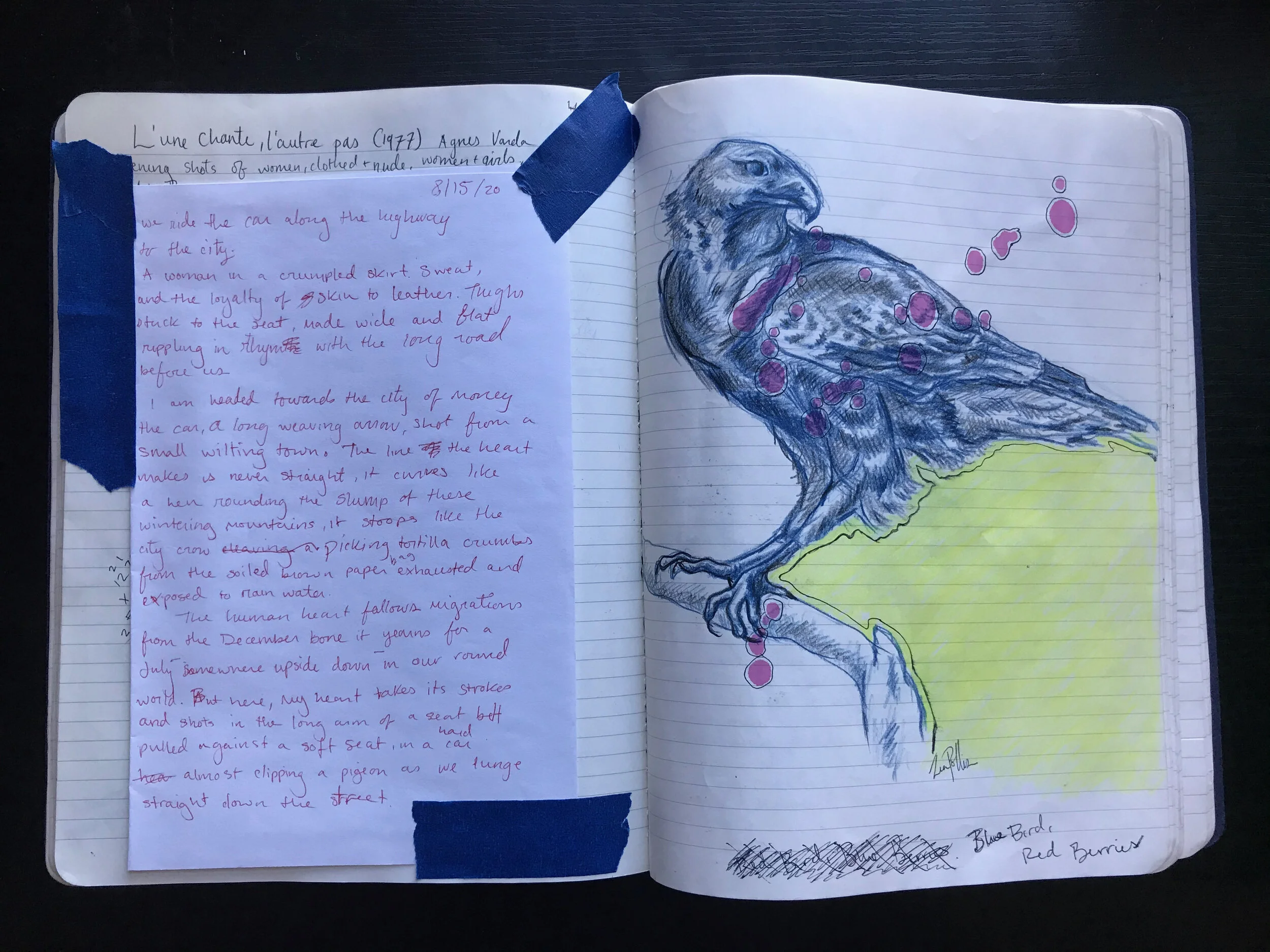 The Poetry Closet: Zia Pollis — NAILED Magazine