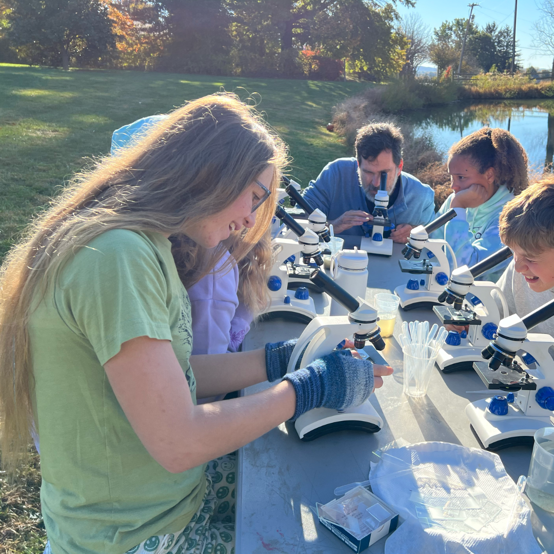 Lucy School - An Arts Based School