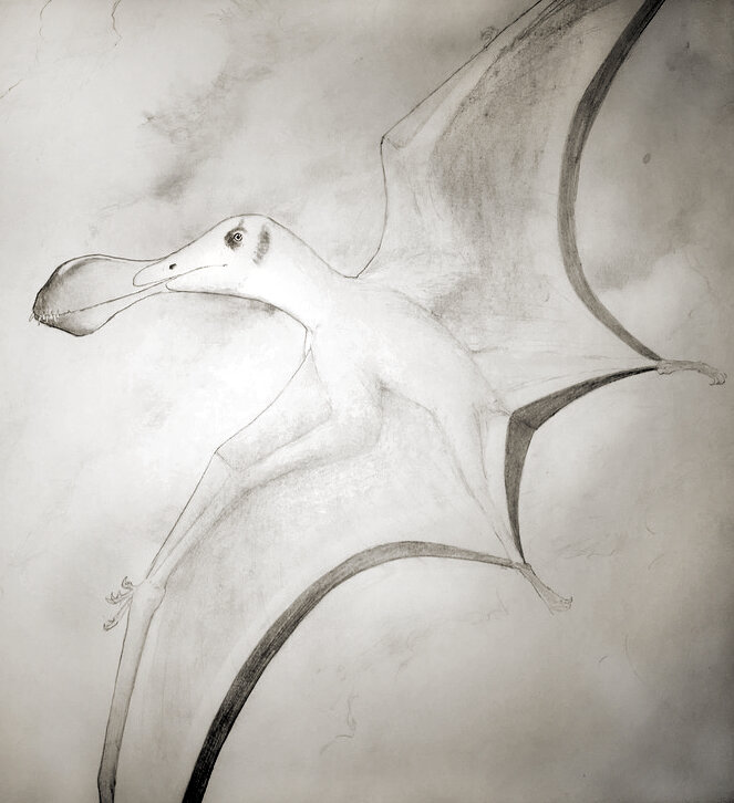 Nick Longrich - Art Portfolio