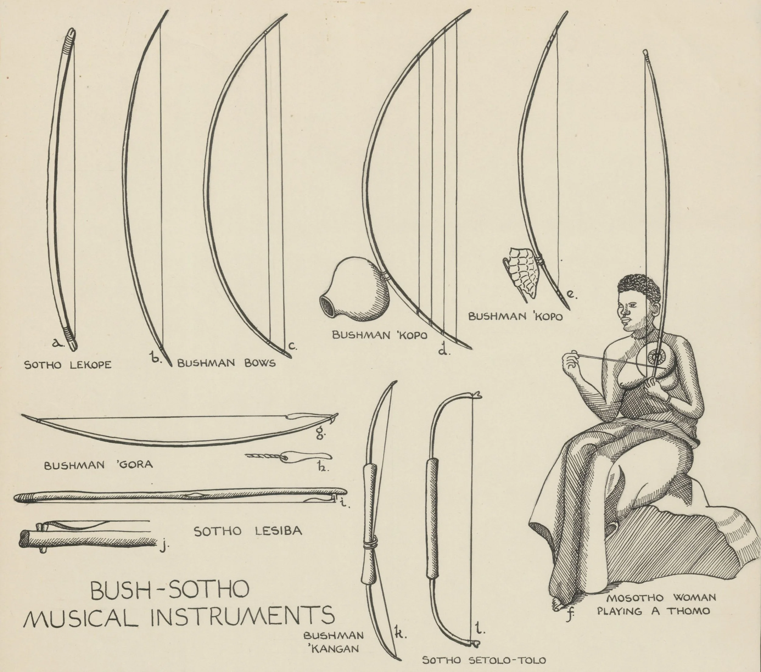 Nick Longrich - Blog