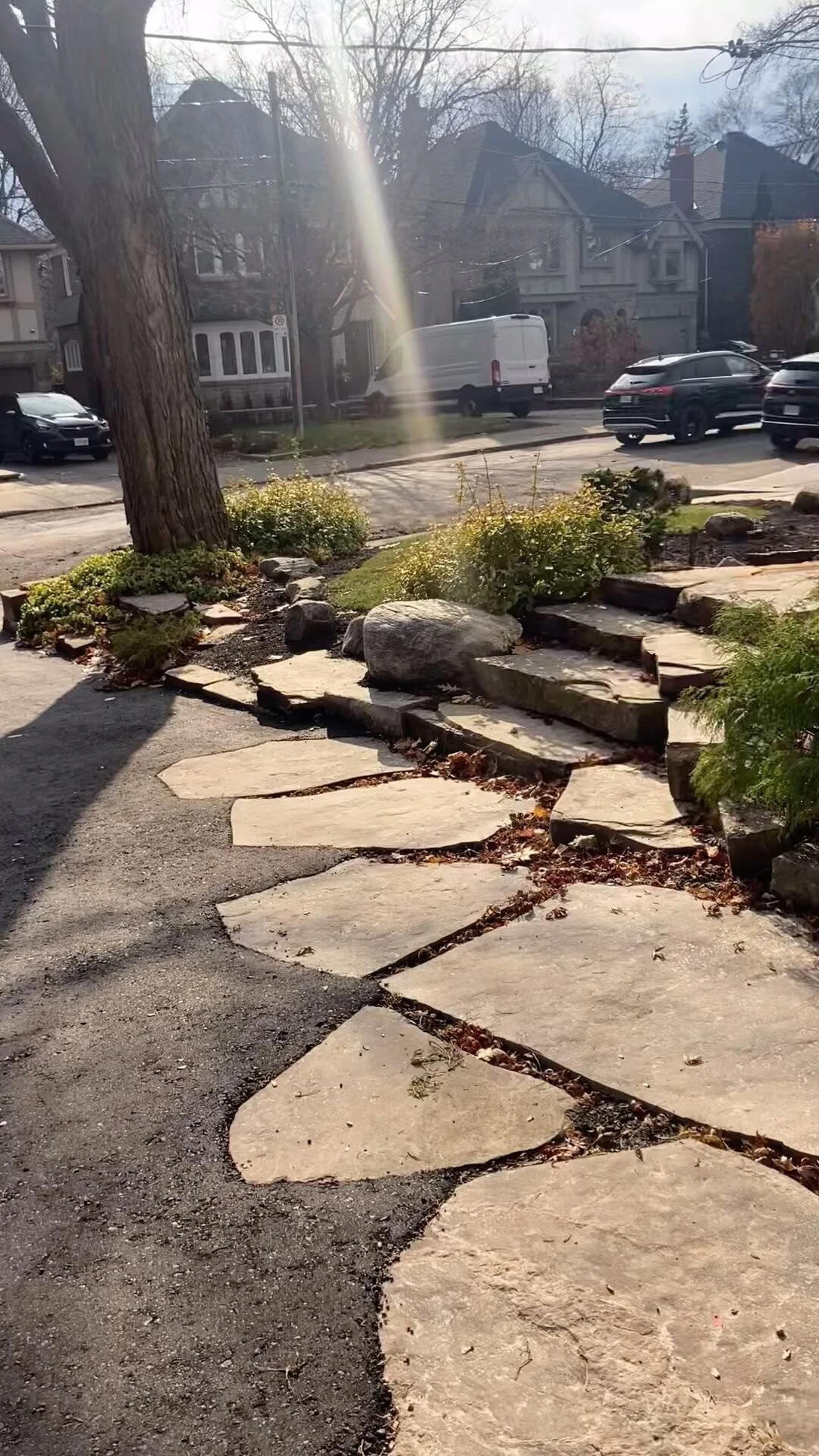 bsq Landscape Architects