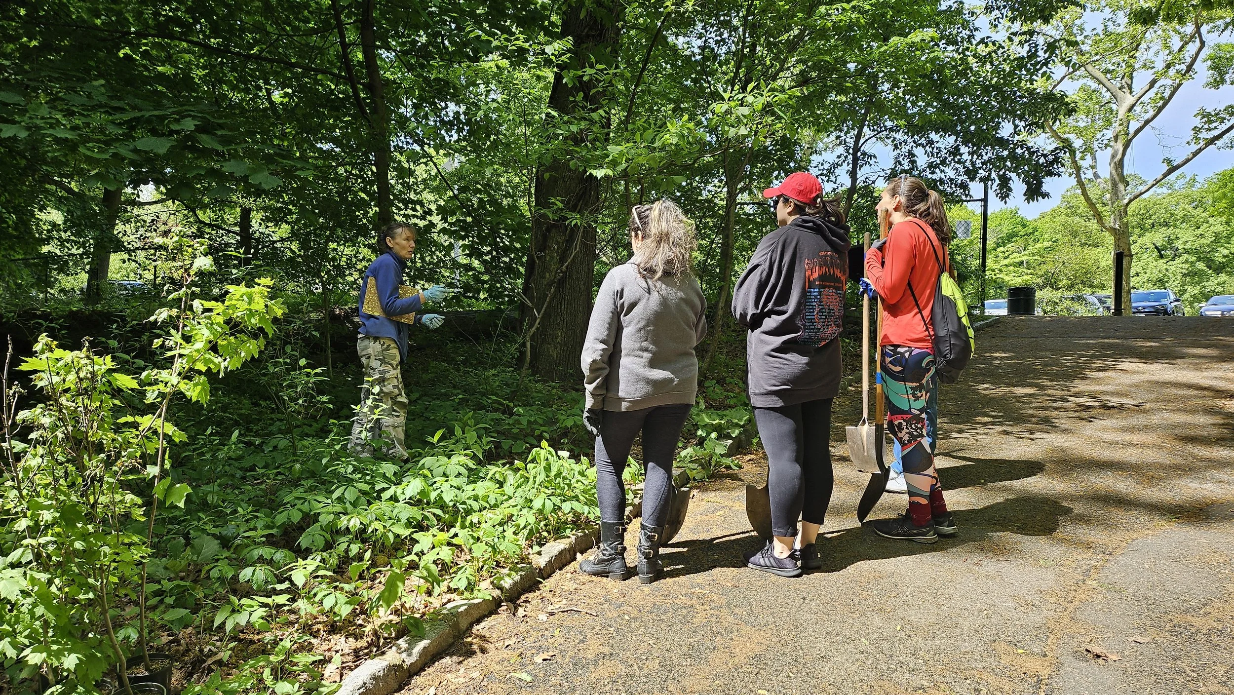 Events — The Forest Park Trust