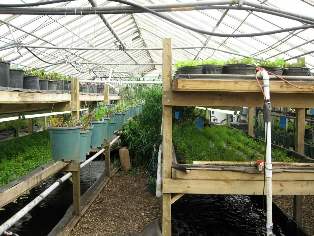 Ultimate Farm Collaborative | Join Our Green Revolution