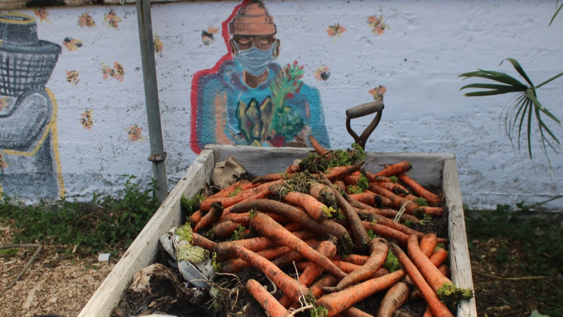 Ultimate Farm Collaborative | Join Our Green Revolution