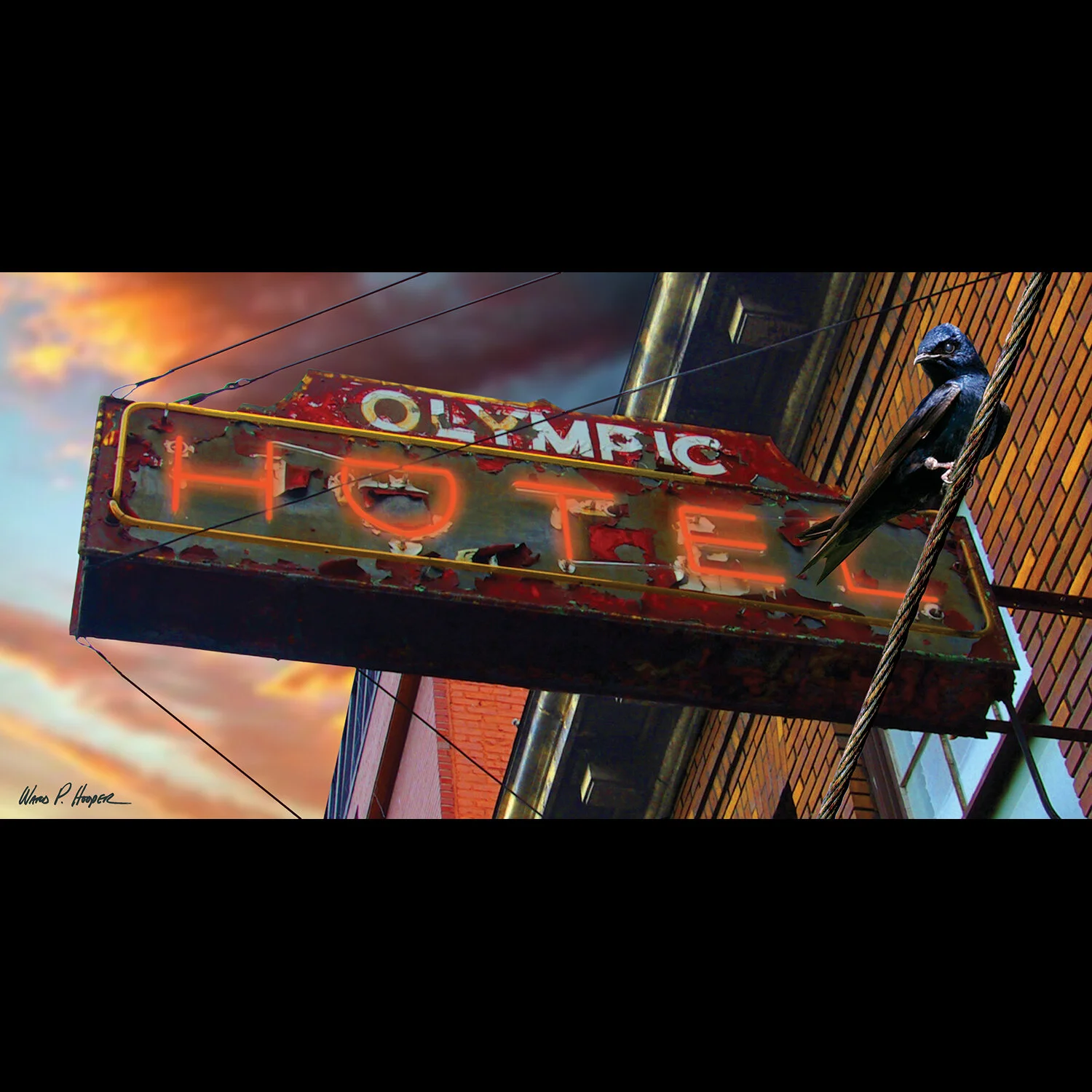 Shop — Ward Hooper