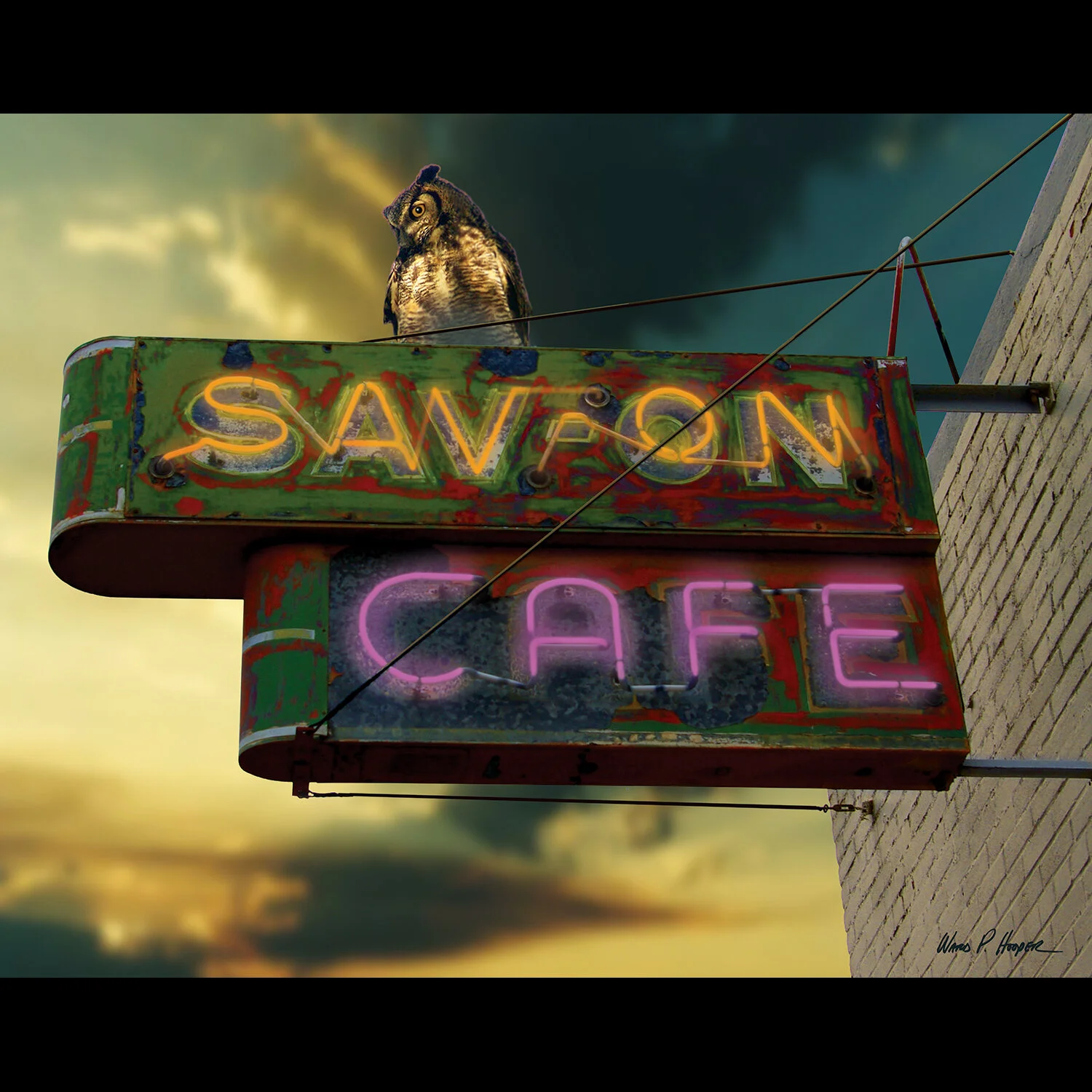 Shop — Ward Hooper