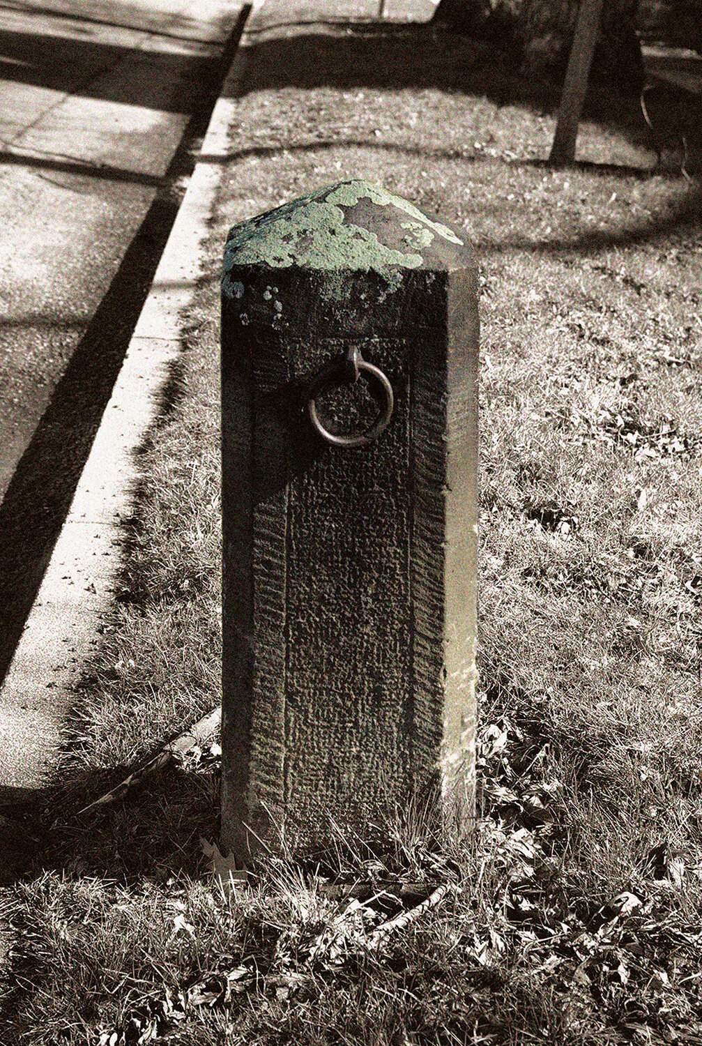 Shop — Ward Hooper