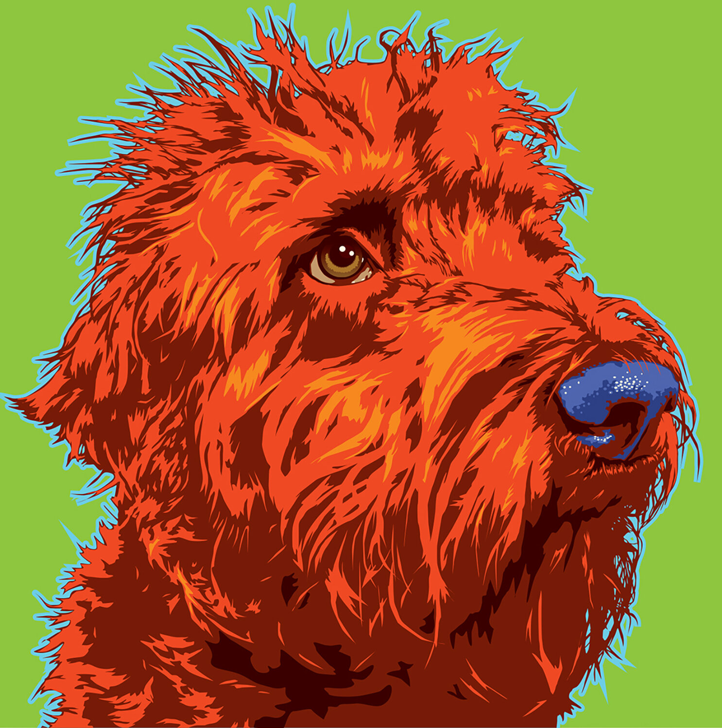 Shop — Ward Hooper