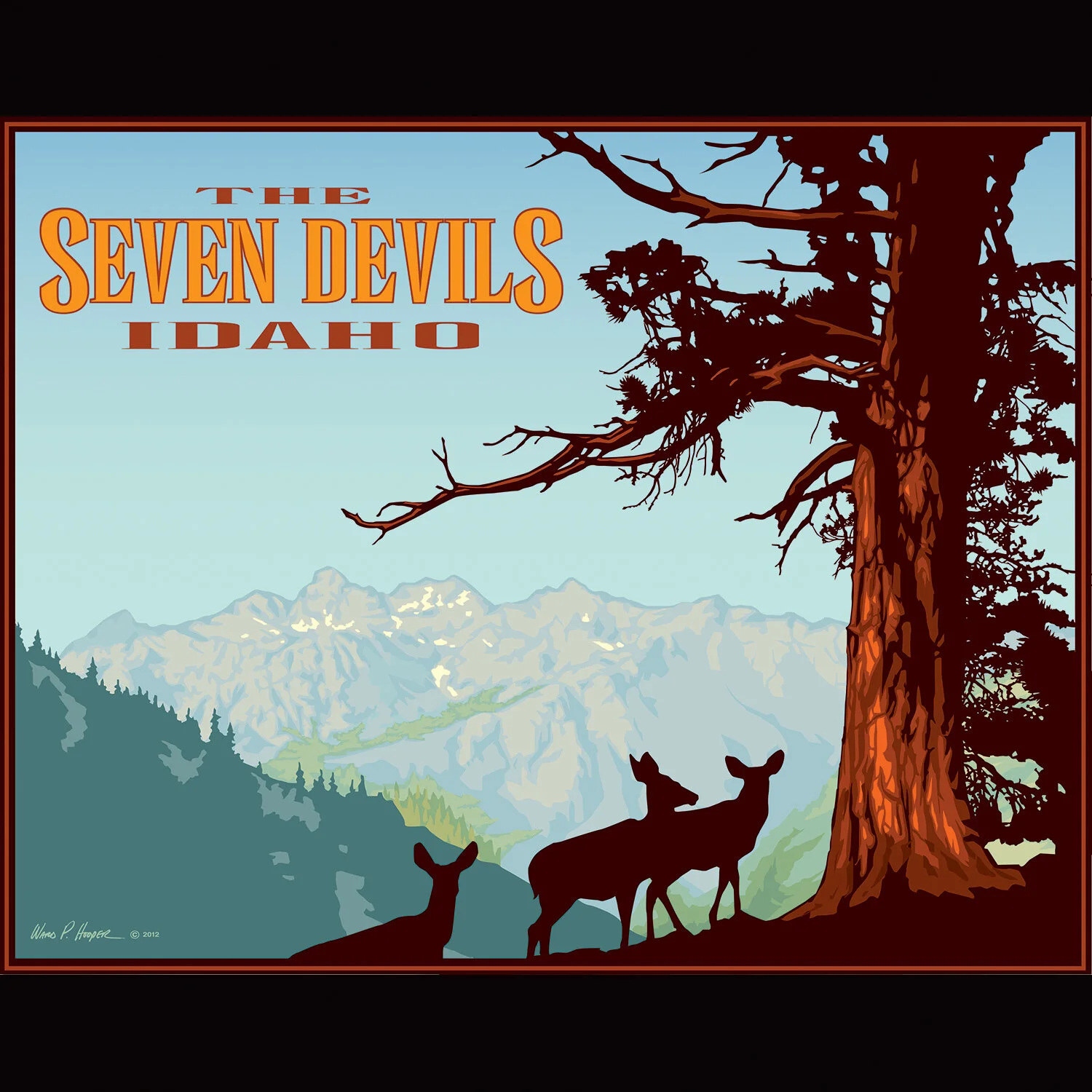 Shop — Ward Hooper