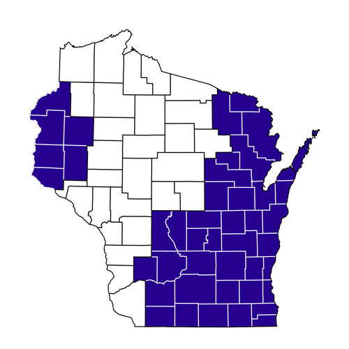 For Patients — Wisconsin Hospice and Palliative Care Collaborative