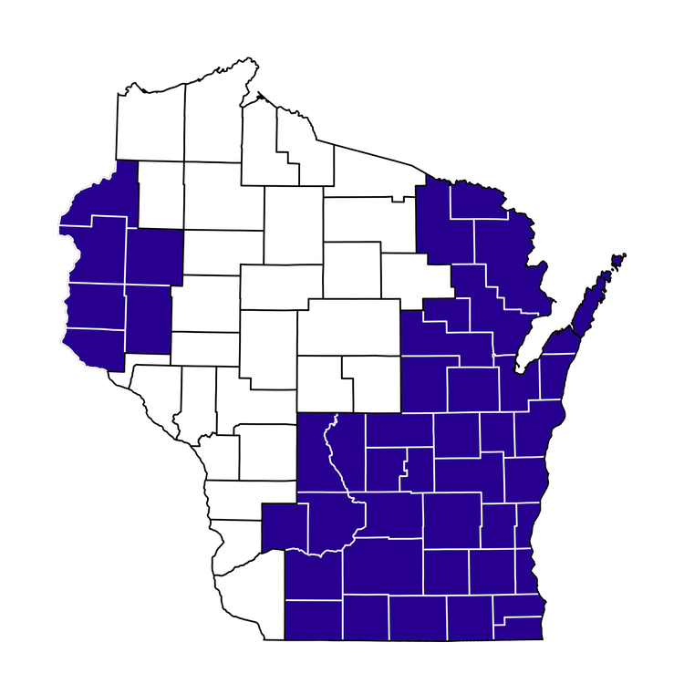 Wisconsin Hospice and Palliative Care Collaborative