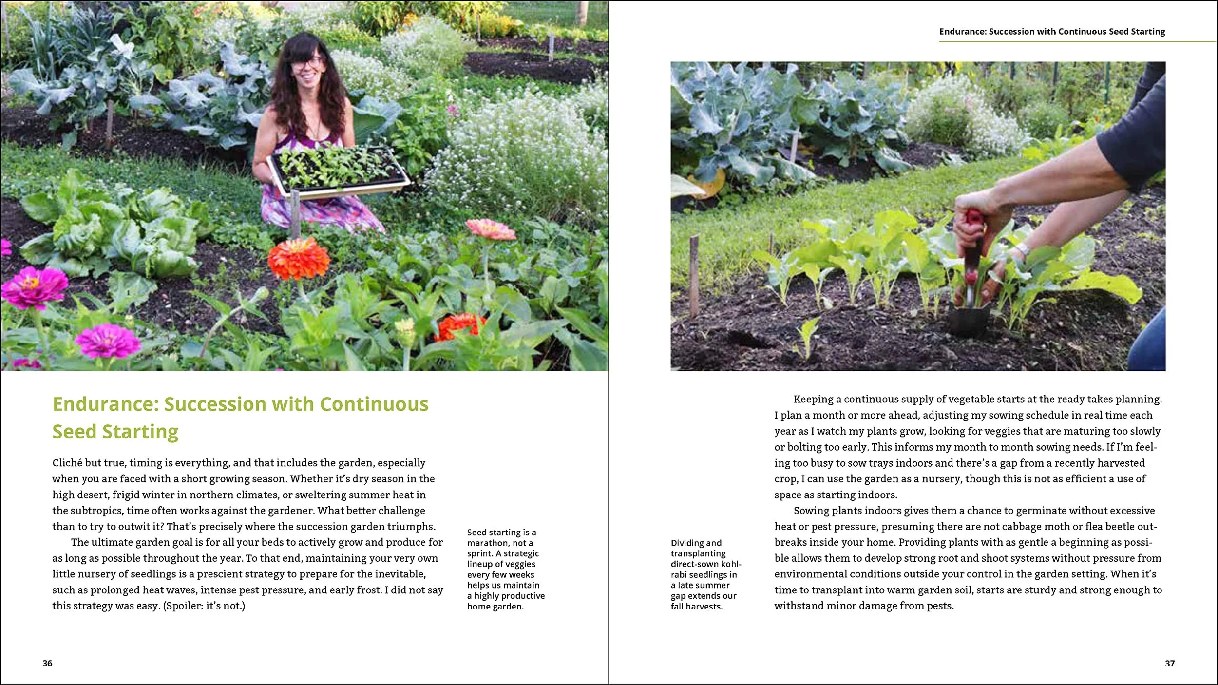 Garden with Meg-Seed to Fork- Meg Cowden — Seed to Fork - Meg Cowden