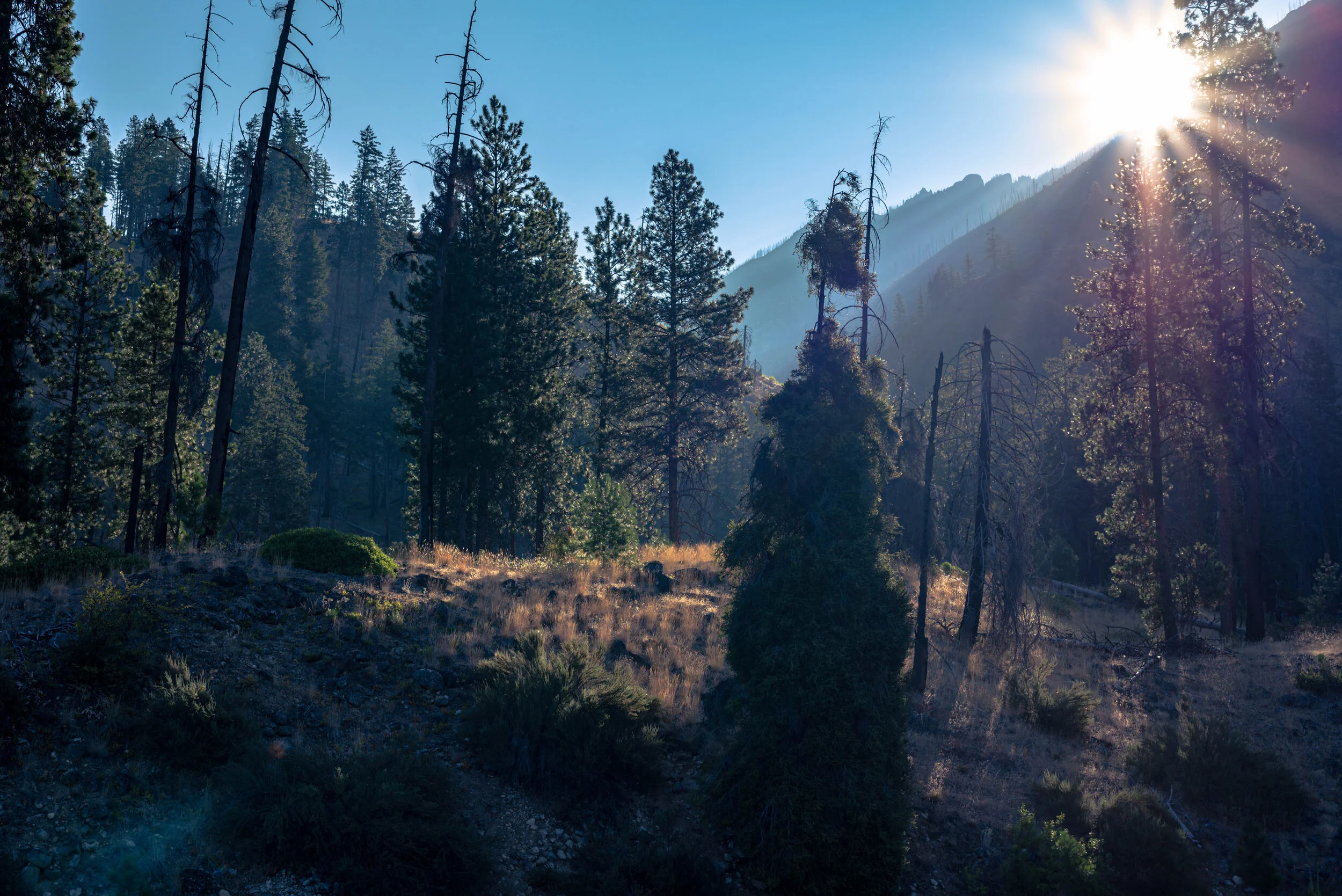 Joshua Collins Photography