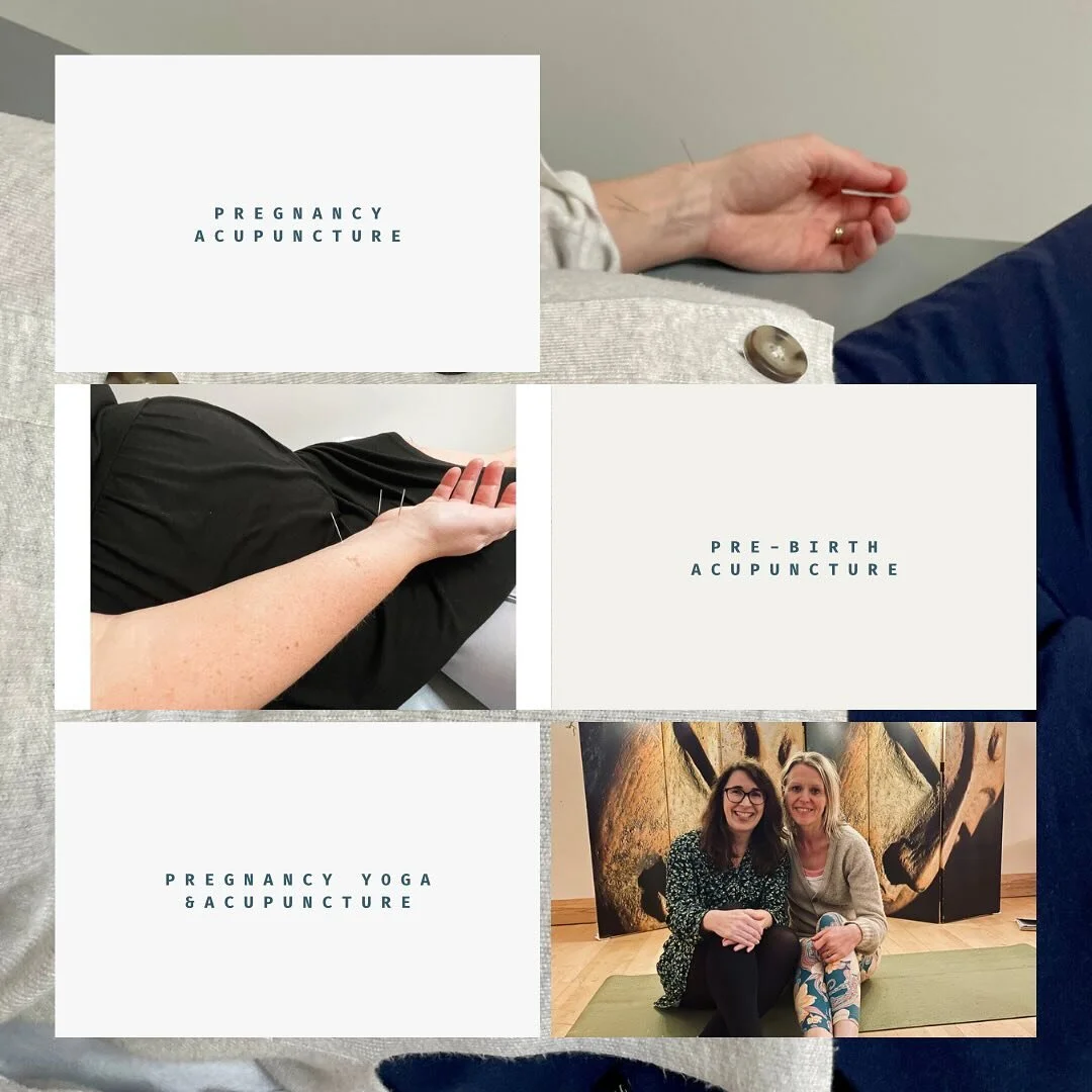 Susan Martin Acupuncture - Acupuncture Treatment and Booking