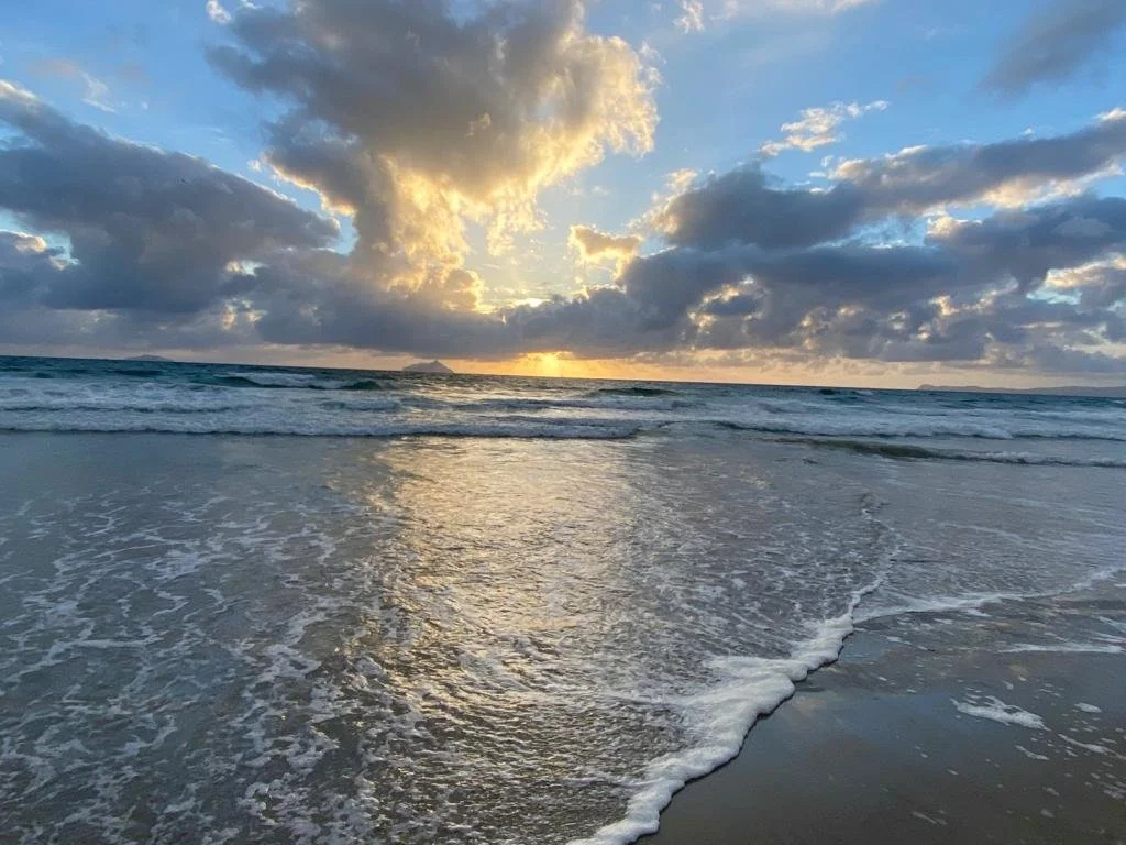Ruakākā — Riders' Rest