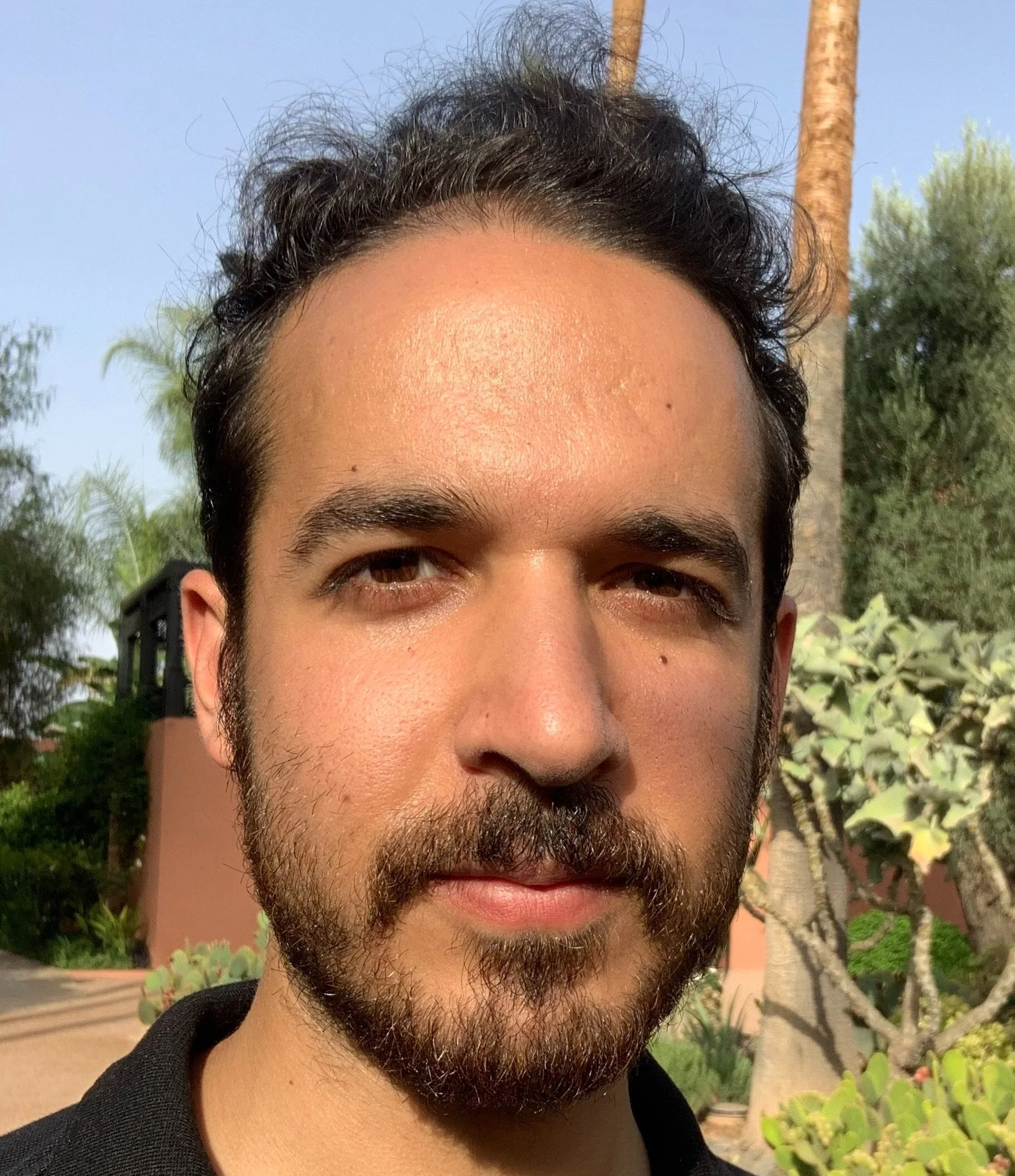 Team-Francophone Short Films In Harlem