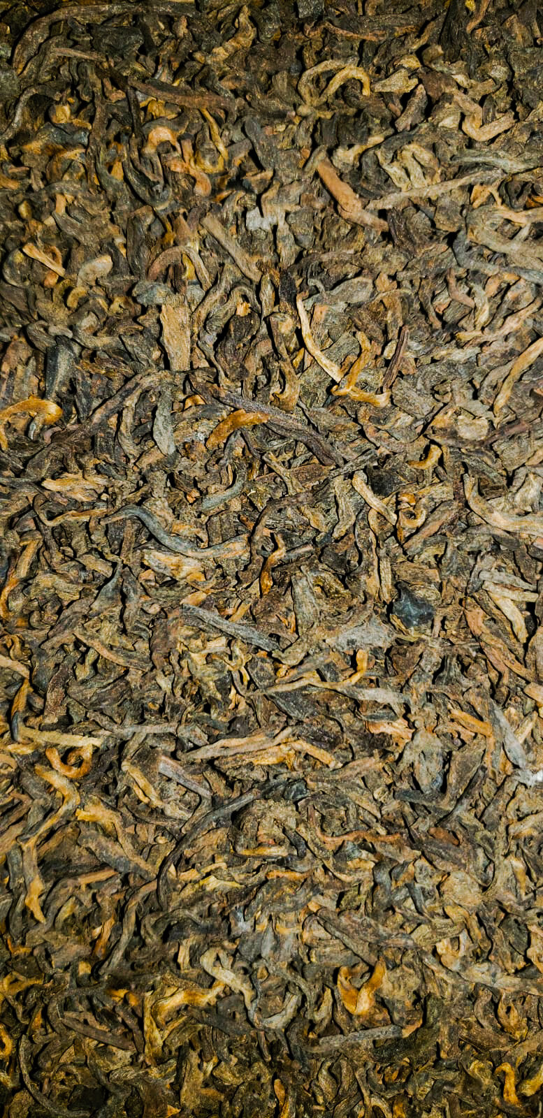 Mandarin Pu'erh — Tea Grotto