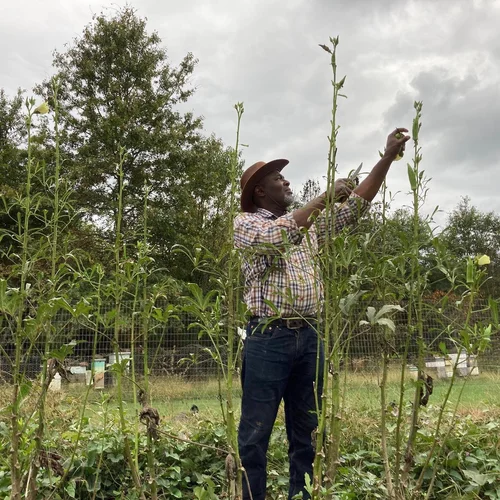 DMV Black Owned and Operated Farms — MARYLAND MARKET MONEY