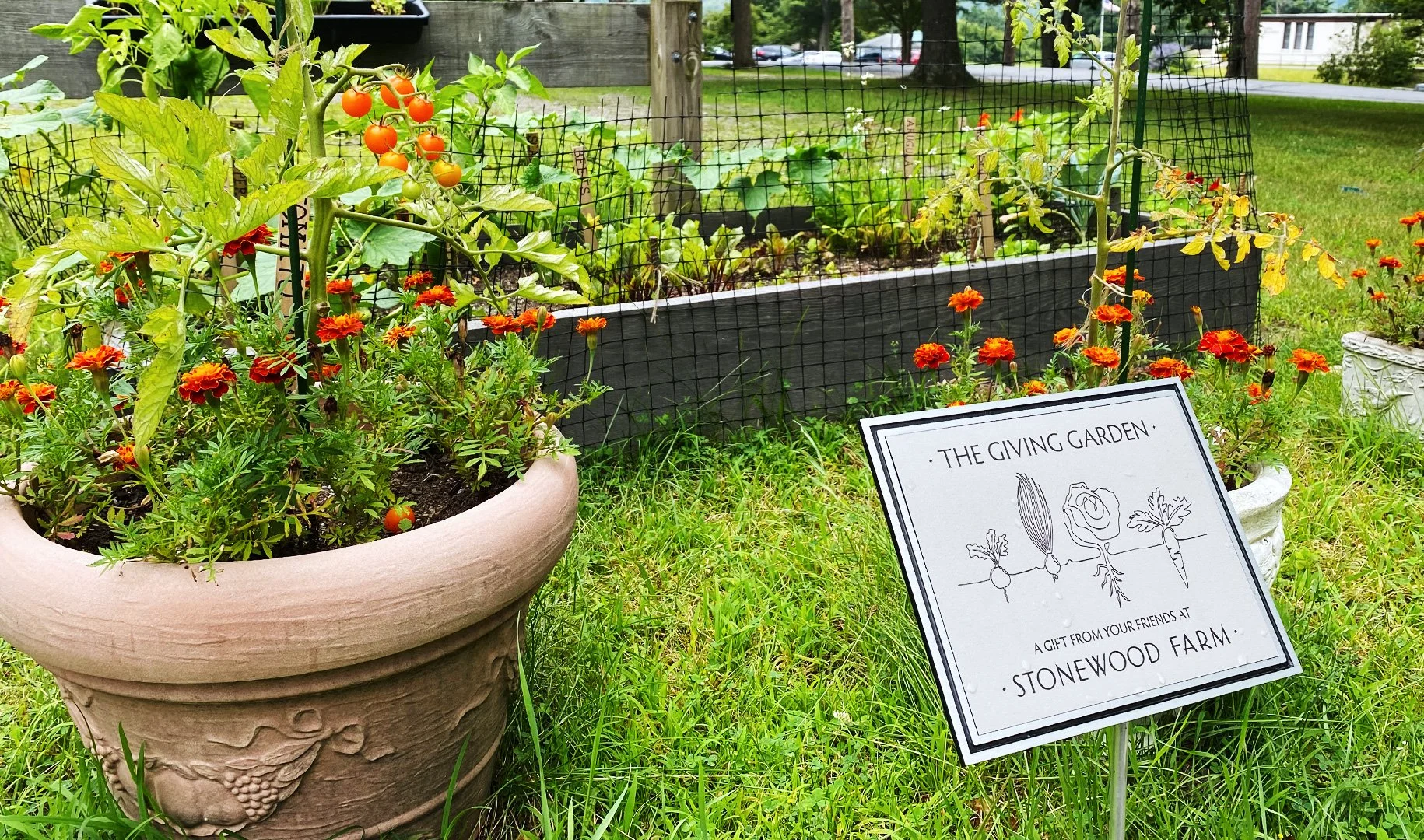 Giving Garden at The Cardinal Hayes Home — Stonewood Farm