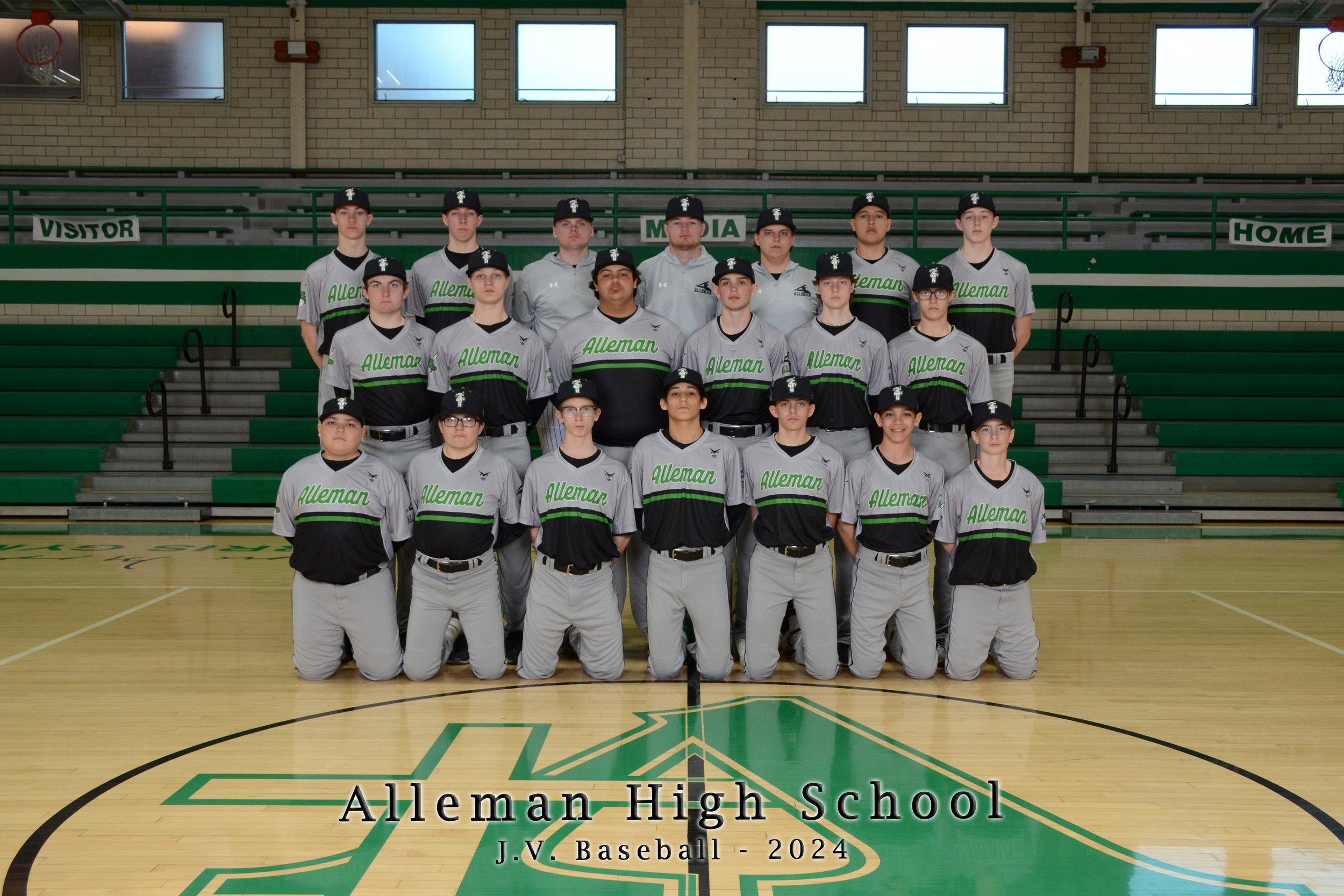 Baseball — Alleman Catholic High School