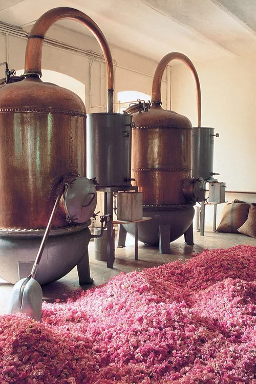 What is a Perfume Distiller? — LETIME STILL