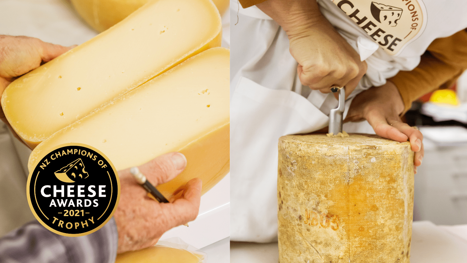 NZ Champions of Cheese Awards 2021 Trophy Winners — CHEESE LOVERS NZ