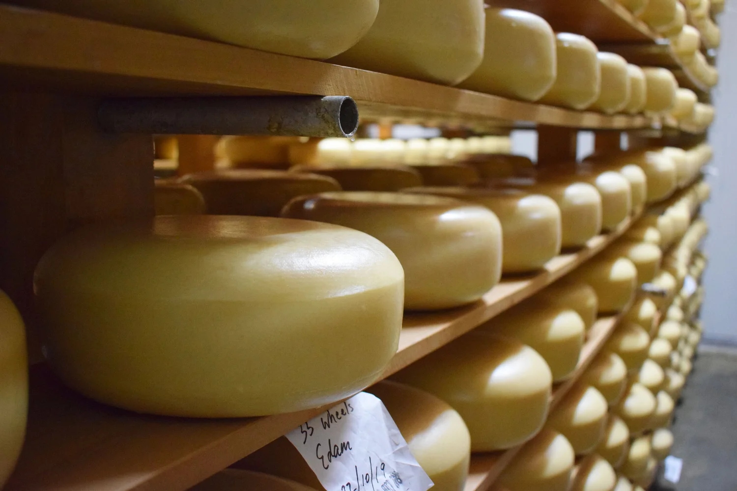 NZ Cheese Directory — CHEESE LOVERS NZ