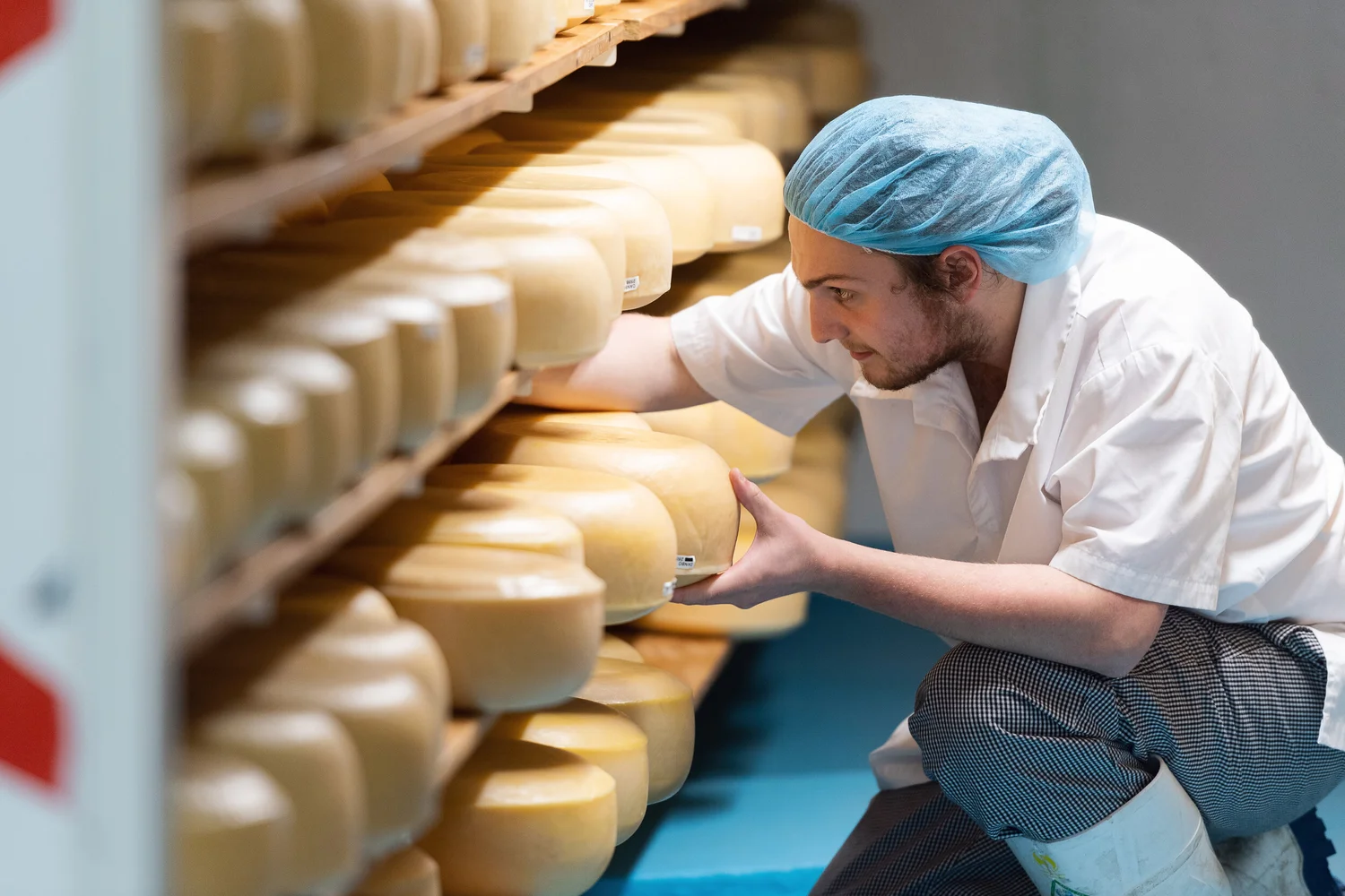 Cheese Lovers NZ