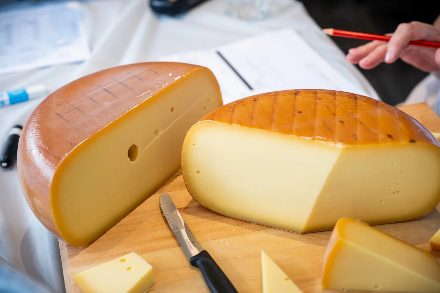 2024 Judging NZ Champions of Cheese — CHEESE LOVERS NZ