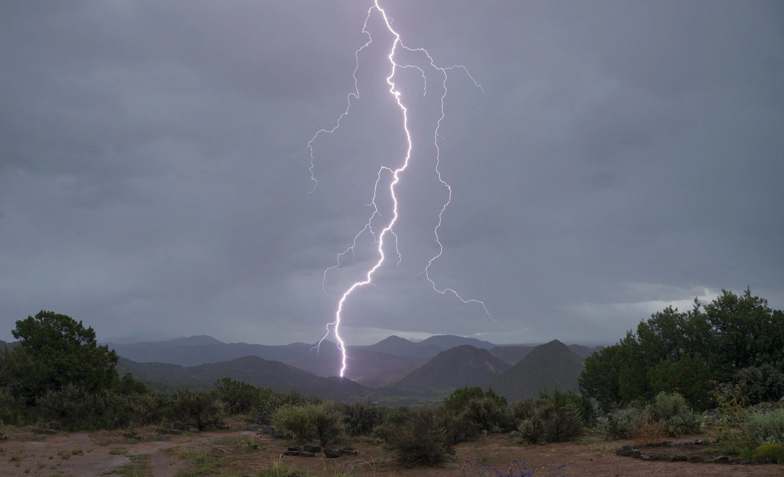 Why atrial fibrillation occurs — Whole Heart Cardiology