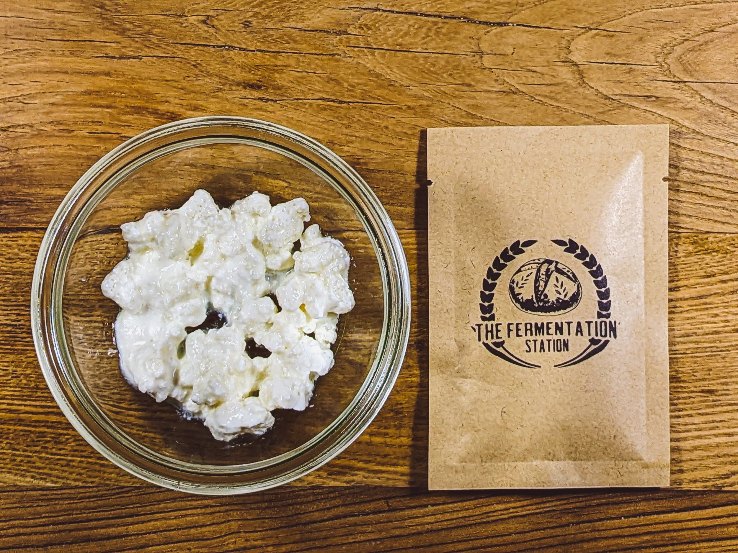 The Fermentation Station | Live Starters & Cultures