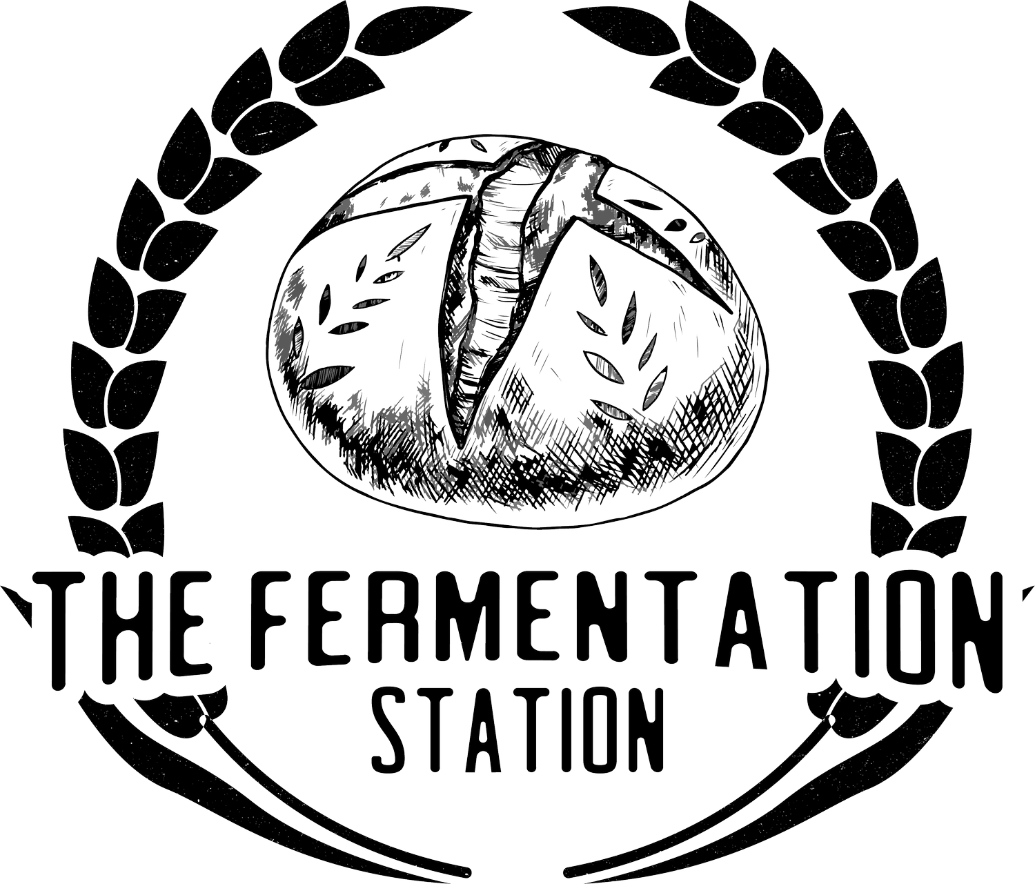The Fermentation Station | Live Starters & Cultures