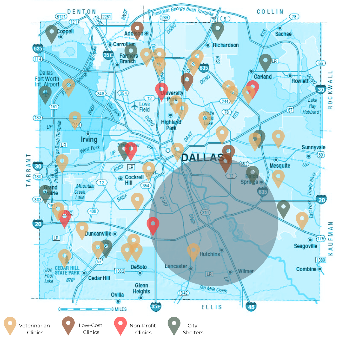 Our Programs — Daybreak Animal Hospital