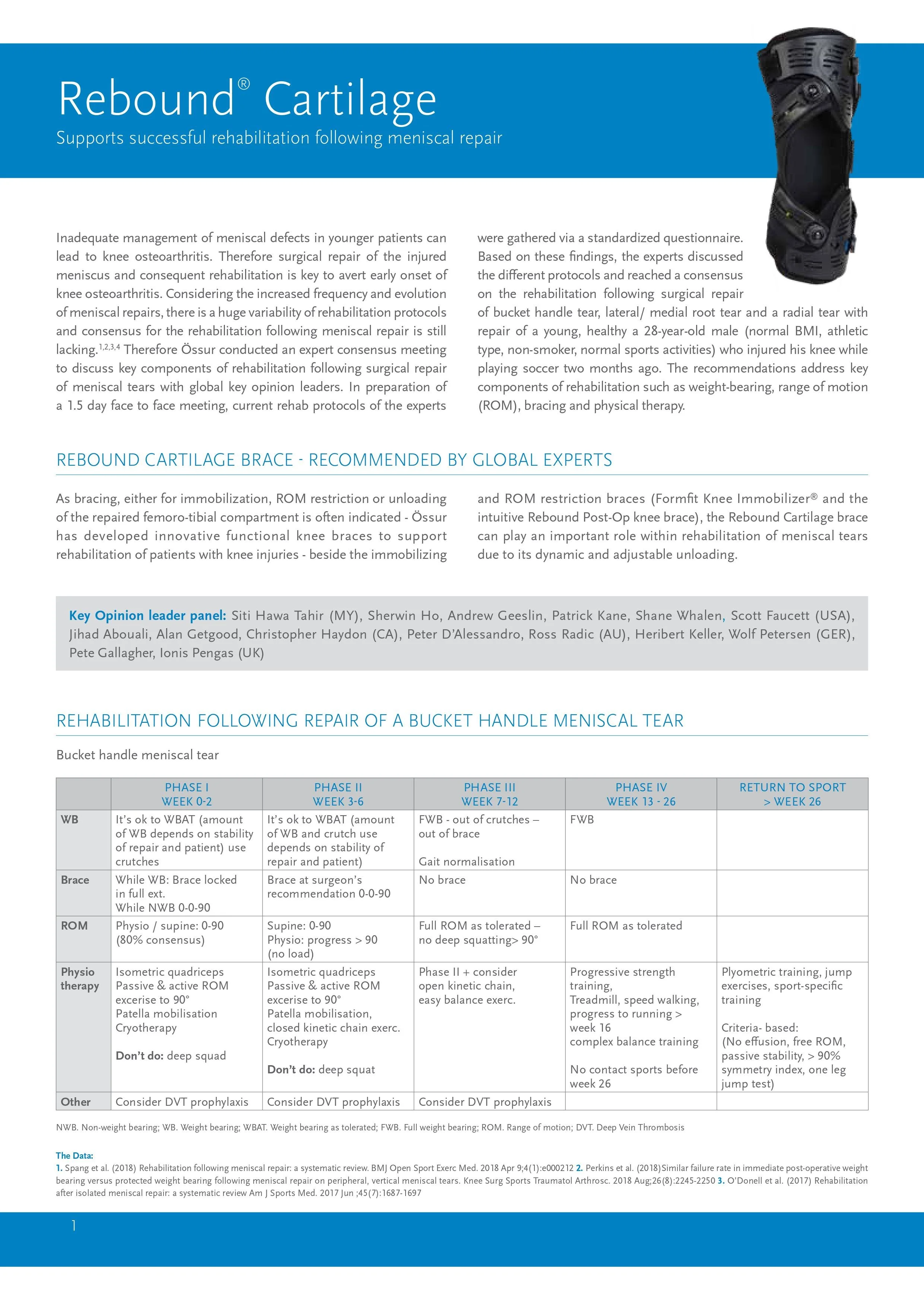 Meniscal repair — Sports Orthopaedic Centre