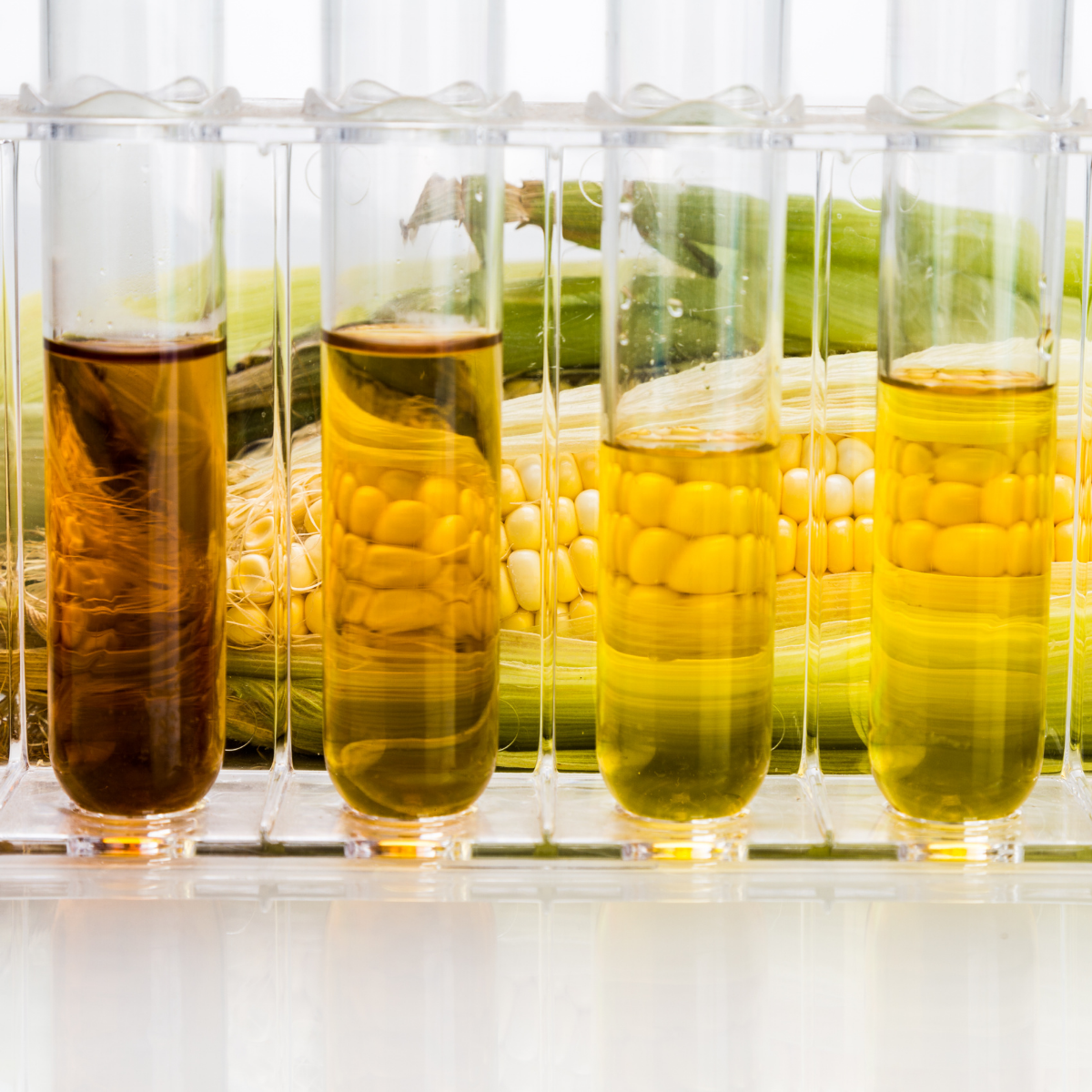 Testing-Laboratory-Petroleum-Petrochemical-CaminCargo — CAMIN