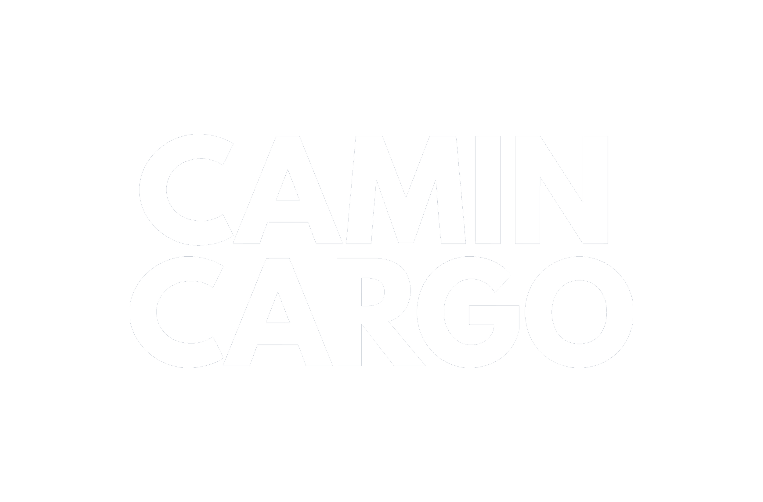 CAMIN CARGO CONTROL
