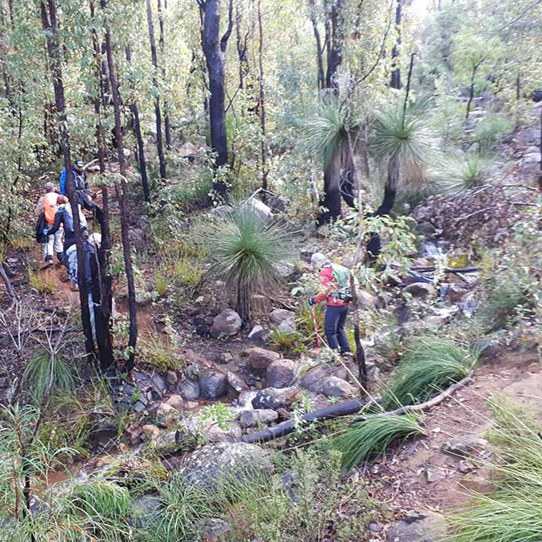 Programs — Western Walking Club