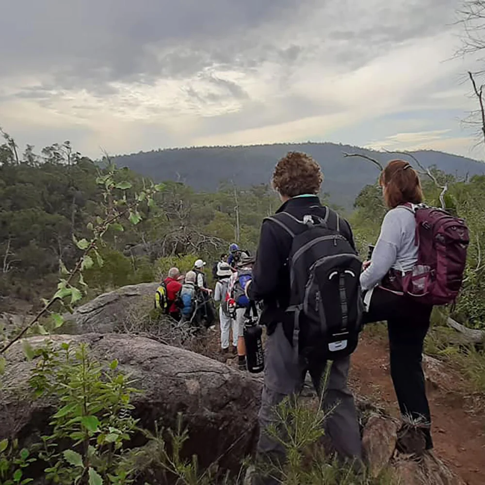 Programs — Western Walking Club