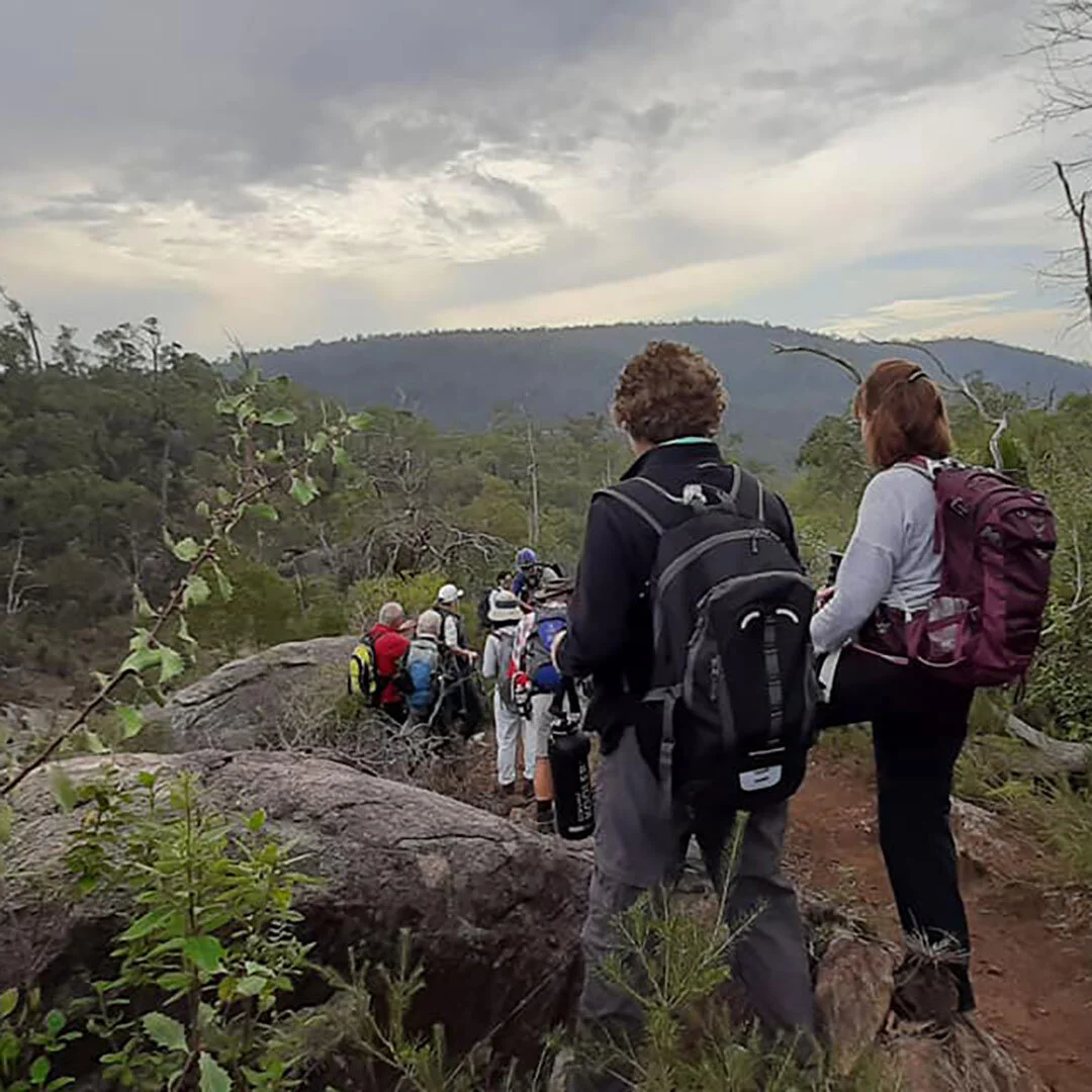 Programs — Western Walking Club