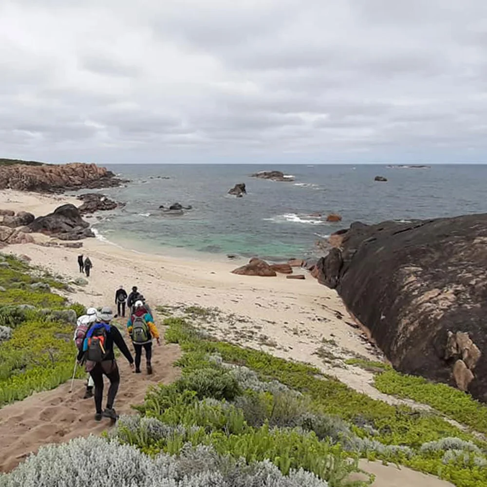 Programs — Western Walking Club