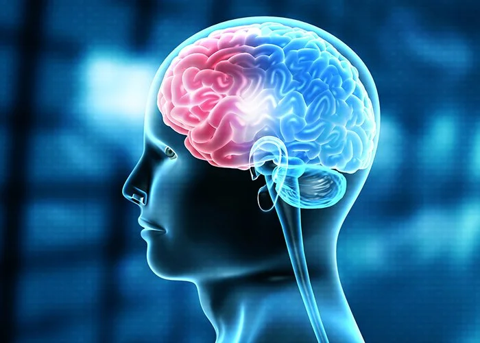 Oxeia Biopharmaceuticals