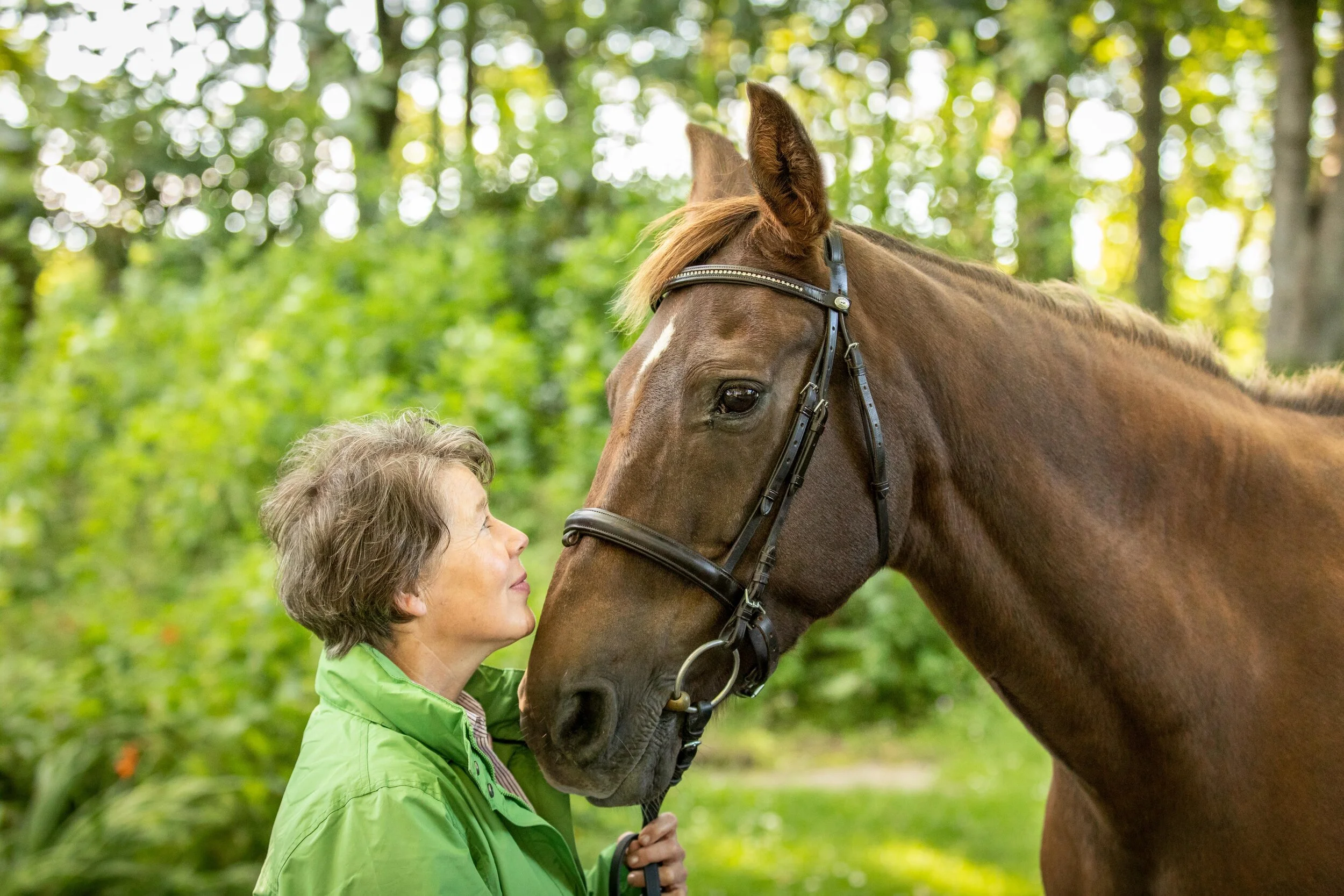 Animal Behaviour Clinic