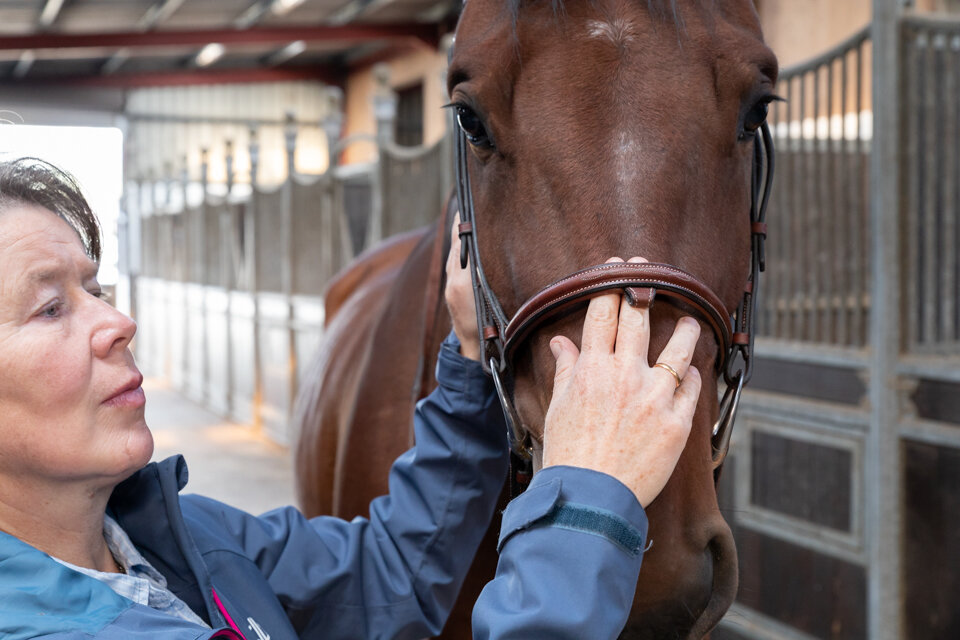 Expert Witness — Animal Behaviour Clinic