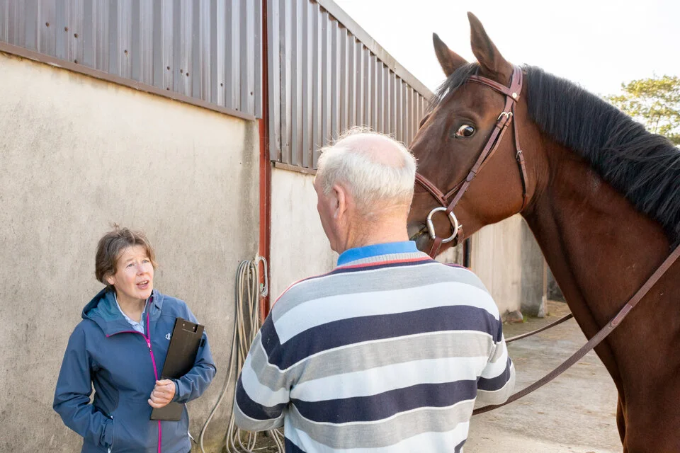 Expert Witness — Animal Behaviour Clinic