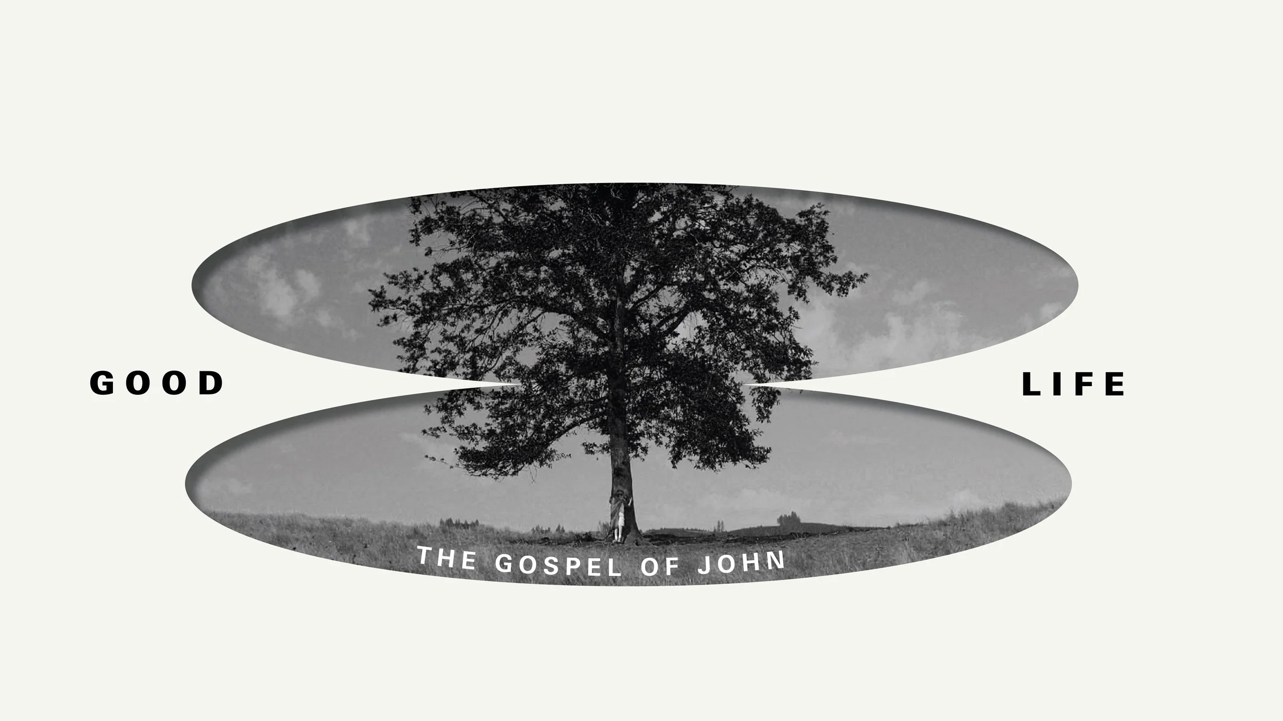 Seeing Signs — Wellspring Church